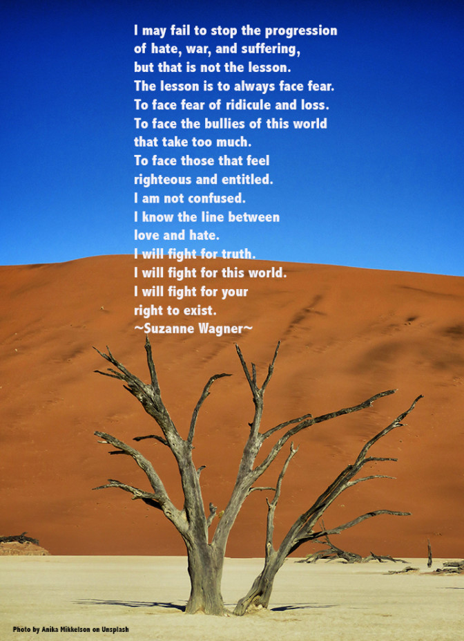 Suzanne Wagner Quote - I May Fail, But I Will Still Try - Suzanne Wagner